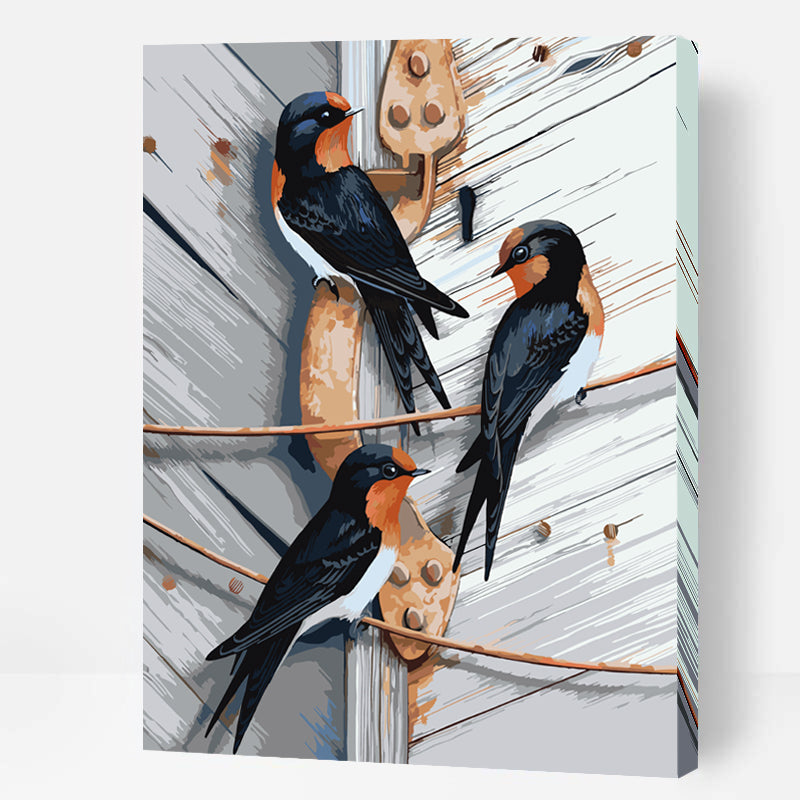 Order 5 Magpies Paint by Numbers Kits | Australia