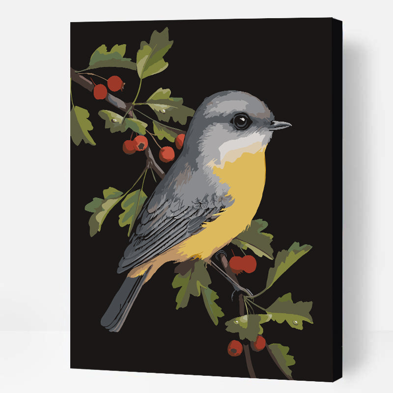 Order 5 Magpies Paint by Numbers Kits | Australia