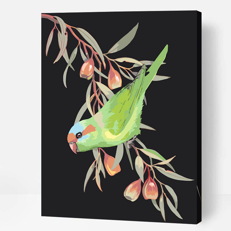 Order 5 Magpies Paint by Numbers Kits | Australia