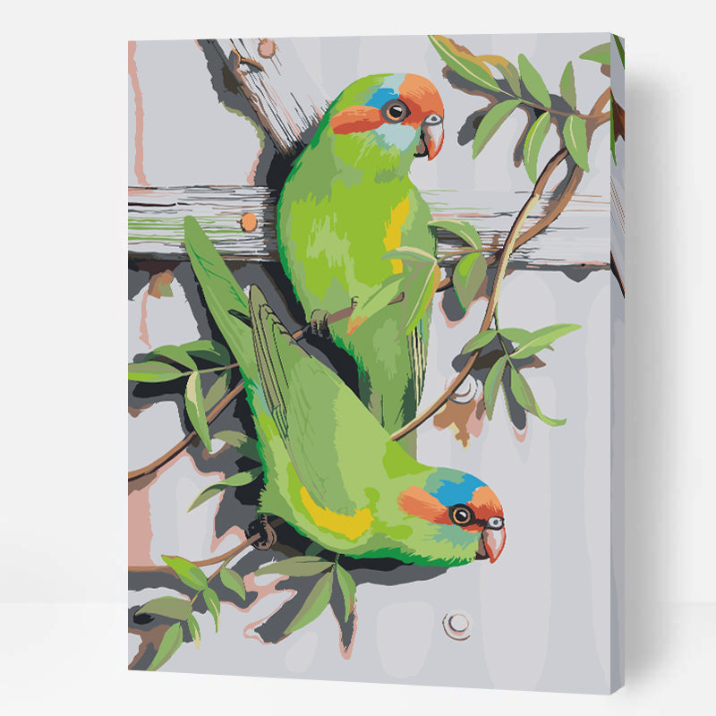 Order 5 Magpies Paint by Numbers Kits | Australia