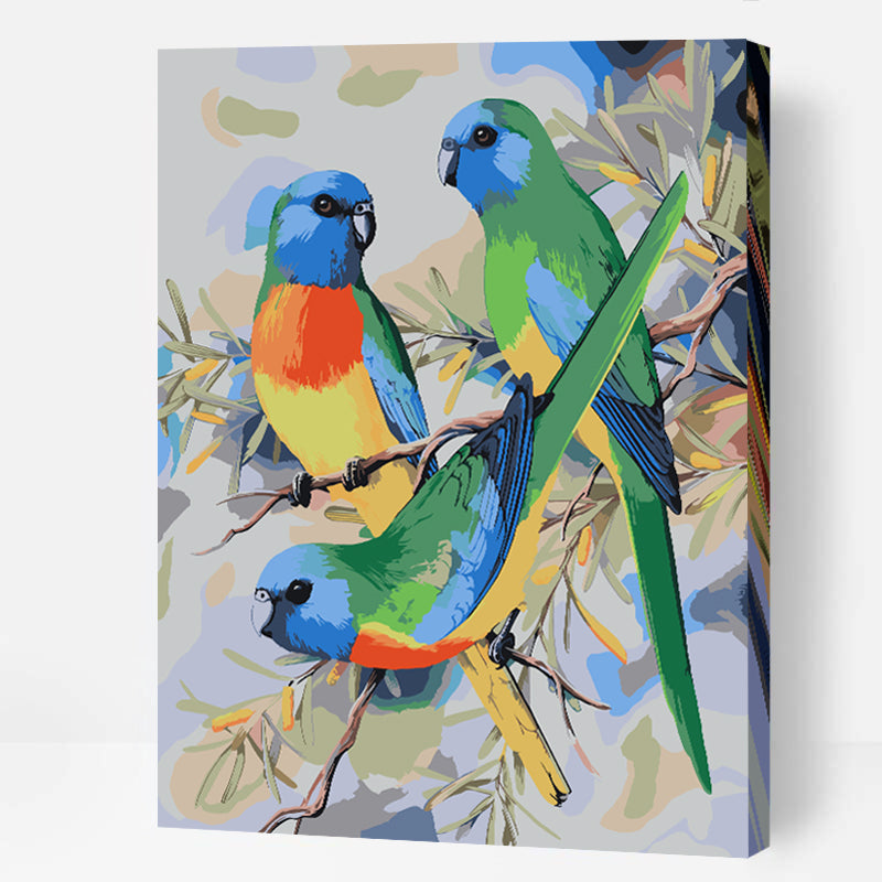 Order 5 Magpies Paint by Numbers Kits | Australia