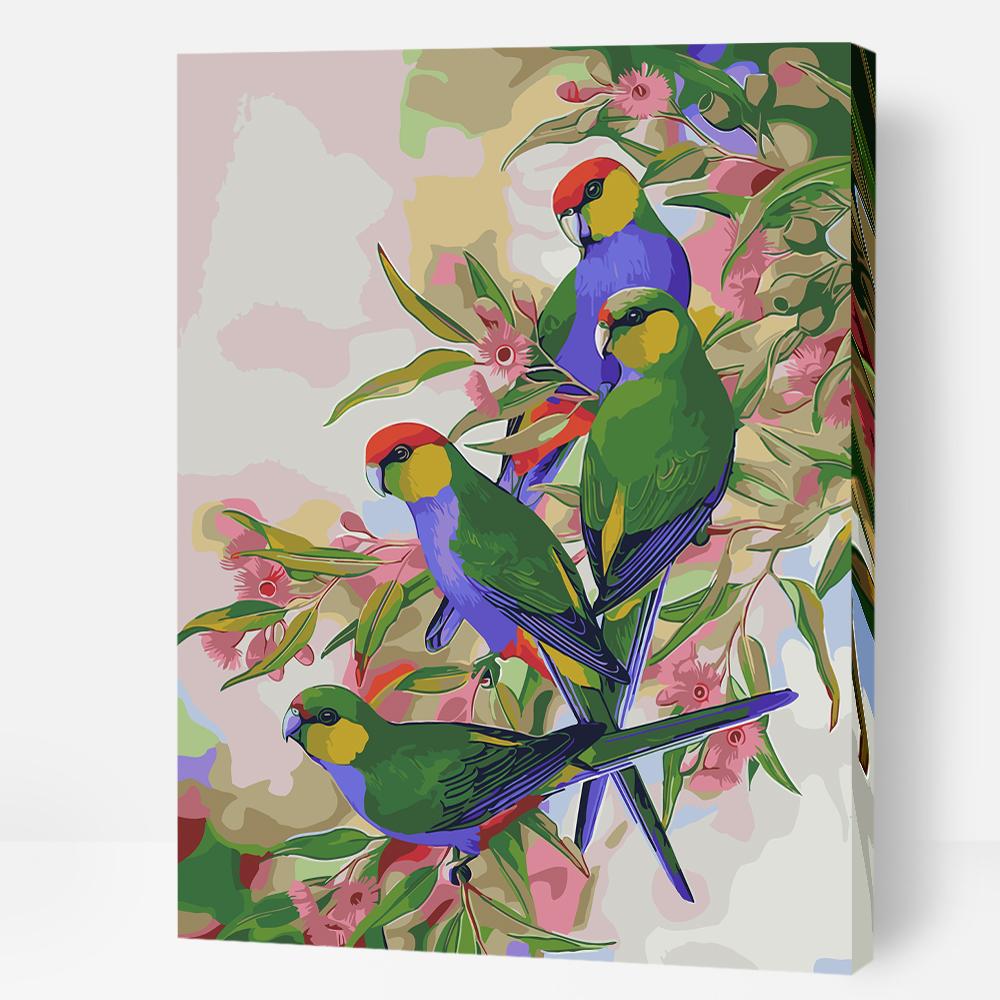 Order Red-Capped Parrots Paint by Numbers Kits | Australia