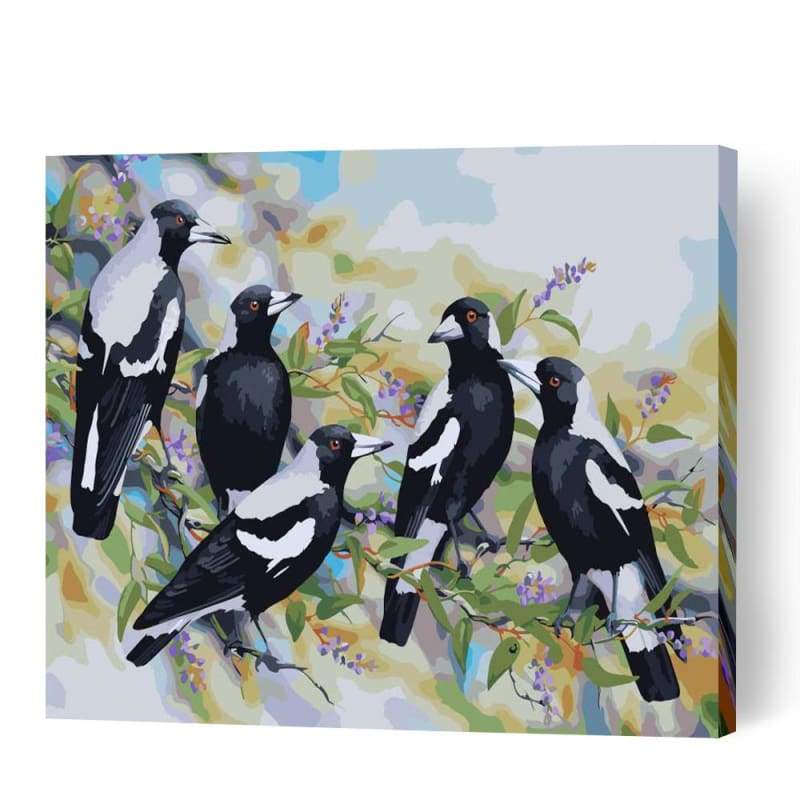 Order 5 Magpies Paint by Numbers Kits | Australia
