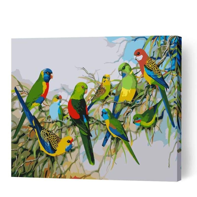 Order Australian Parrots Paint by Numbers Kits | Australia
