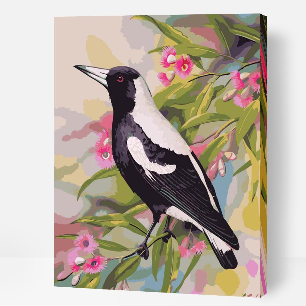 Order Magpie Paint by Numbers Kits | Australia