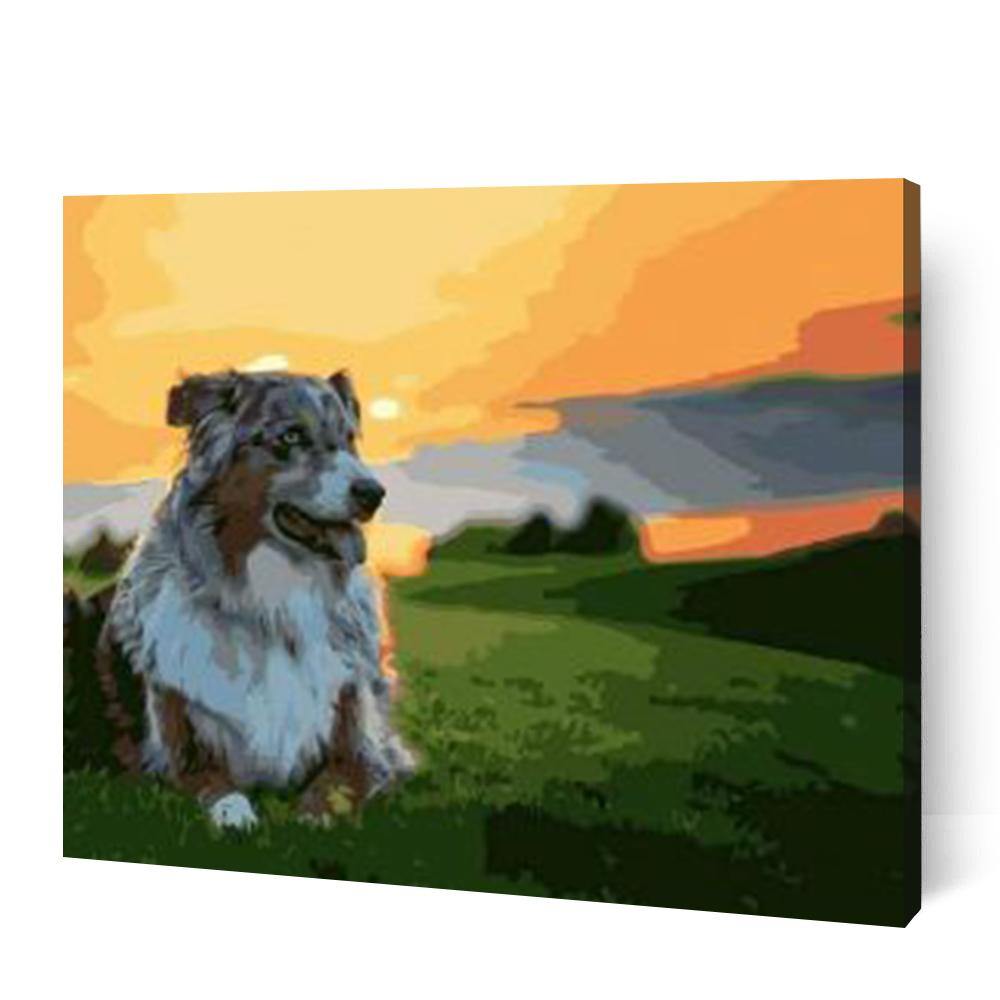 Order Australian Shepherd Paint by Numbers Kits | Australia