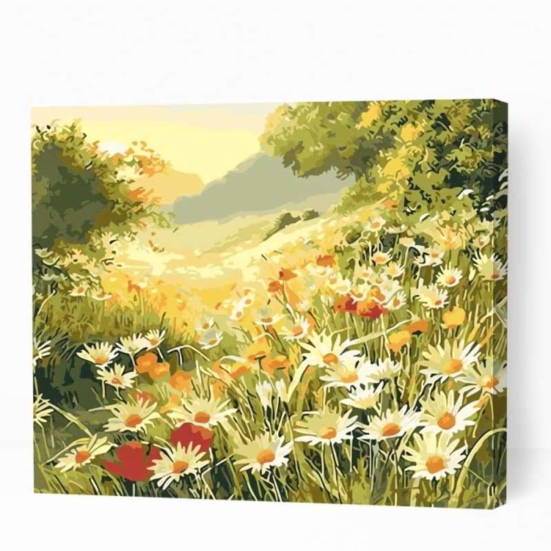 Order Beautiful Flowers in Spring Paint by Numbers Kits | Australia