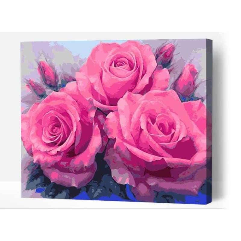 Order Cute Pink Roses Paint by Numbers Kits | Australia