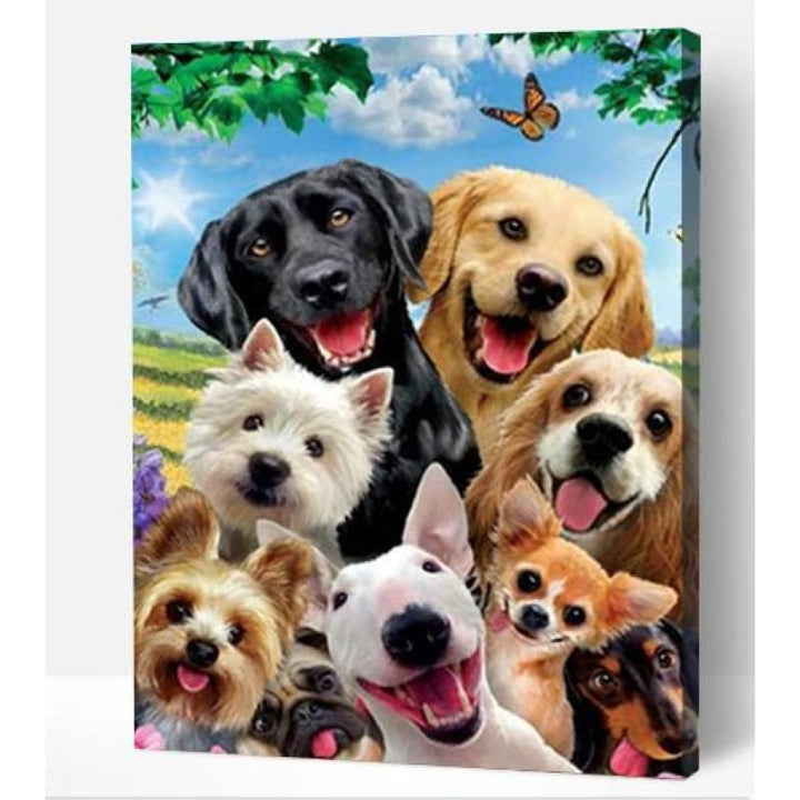 Buy Animal Paint by Numbers Kits | Australia – Page 2