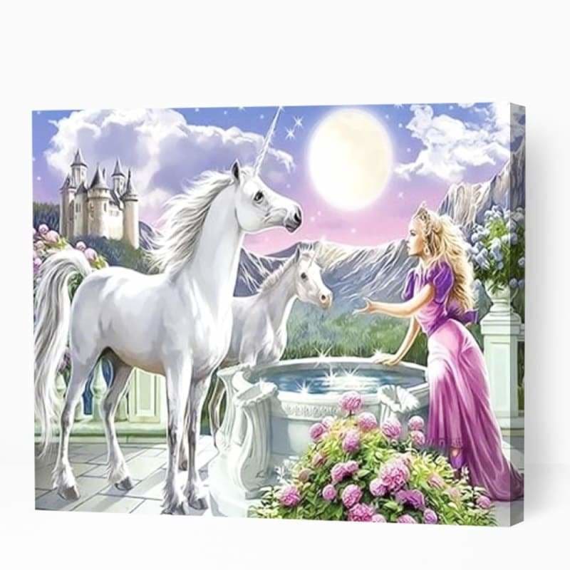 Order Mythical Unicorns and Princess Paint by Numbers Kits | Australia