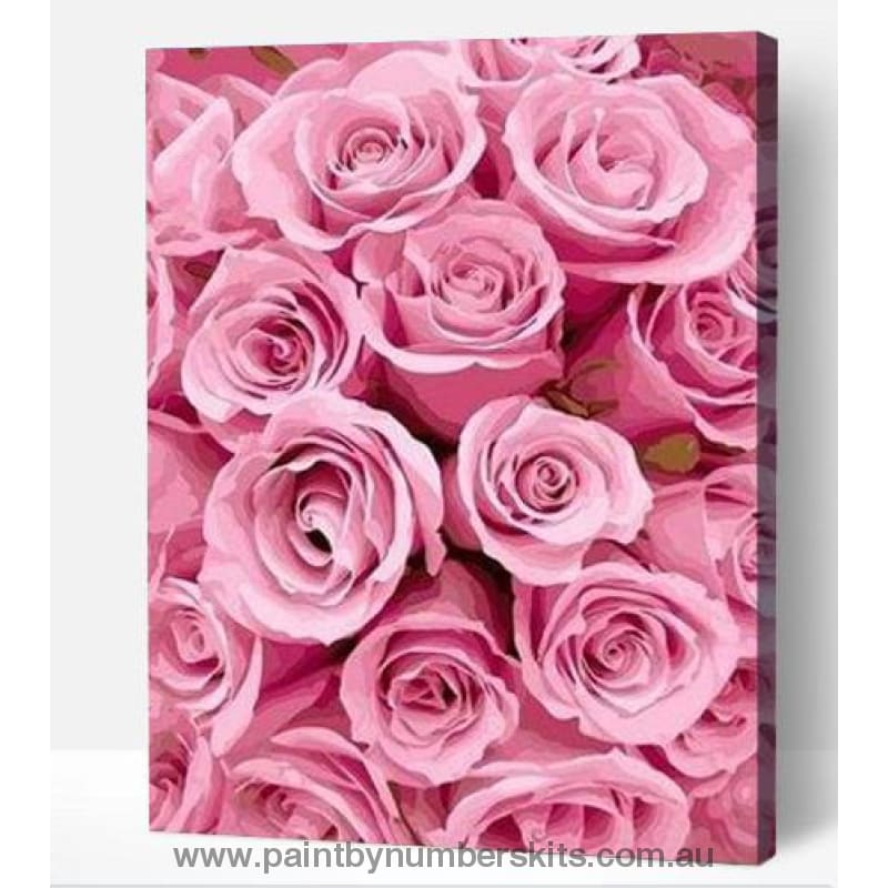 Order Pink Roses Paint by Numbers Kits | Australia