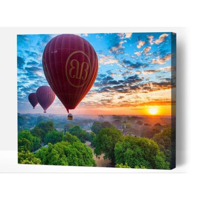 Order Red Delight Paint by Numbers Kits | Australia