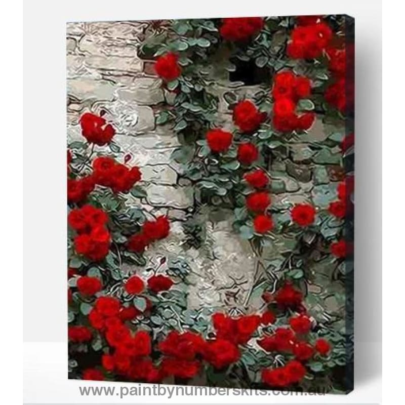 Order Wall of red roses Paint by Numbers Kits | Australia